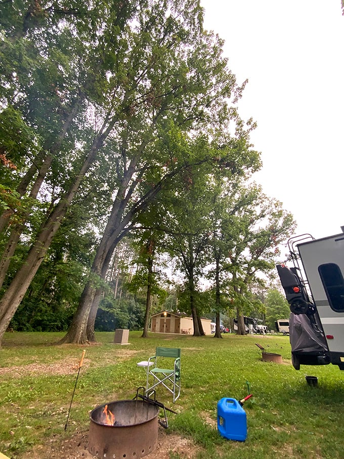 Campfire simplicity under towering trees—where retirement dreams include starry nights, ghost stories, and the luxury of having nowhere else to be.