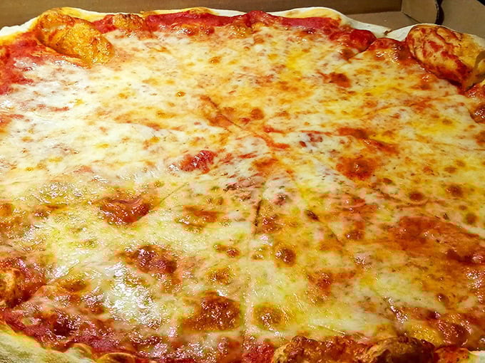 Behold, the star of the show! This cheese pizza isn't just food—it's edible artwork with that perfect sauce-to-cheese ratio that haunts your dreams.