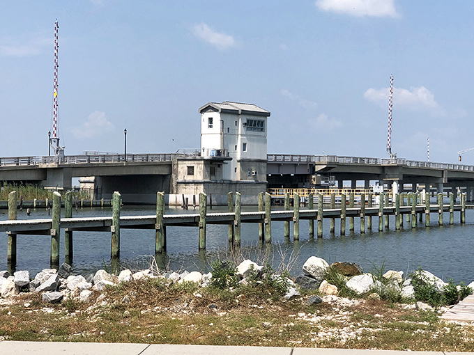The Chincoteague drawbridge isn't just a connection to the mainland—it's the dividing line between "real life" and "island time." Cross at your own risk of relaxation!