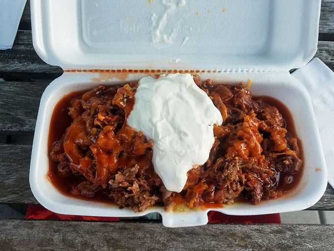 Chopped brisket swimming in sauce with a dollop of cool sour cream—like a meaty volcano that erupted with flavor instead of lava.