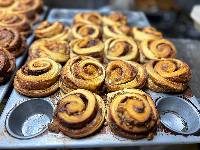Spiral-bound happiness that's worth every calorie. These cinnamon rolls aren't just pastries—they're edible proof that mornings can actually be wonderful.