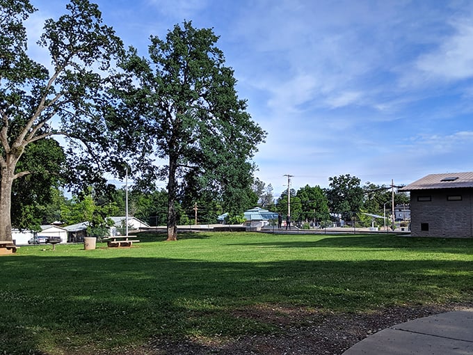 Even the park benches here come with million-dollar views – democracy at its finest, folks.