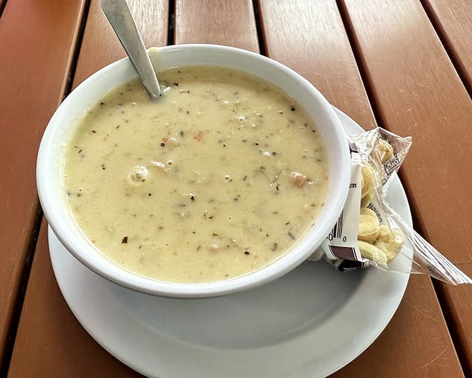 Liquid gold in a bowl – this New England clam chowder isn't just soup, it's a creamy declaration of Cedar Key's clam supremacy.
