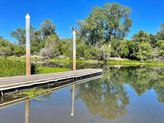 Nature's perfect mirror—this wooden dock invites contemplation, fishing, or simply watching time slow down to the rhythm of rippling water.