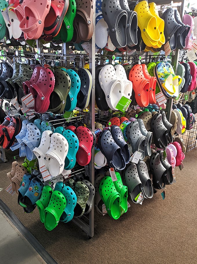 A rainbow explosion of Crocs—where comfort meets controversy in every imaginable color of the footwear spectrum.