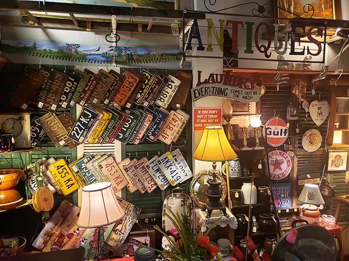 License plates that outlived the cars they rode on – each one a rectangular time capsule of road trips and family vacations past.