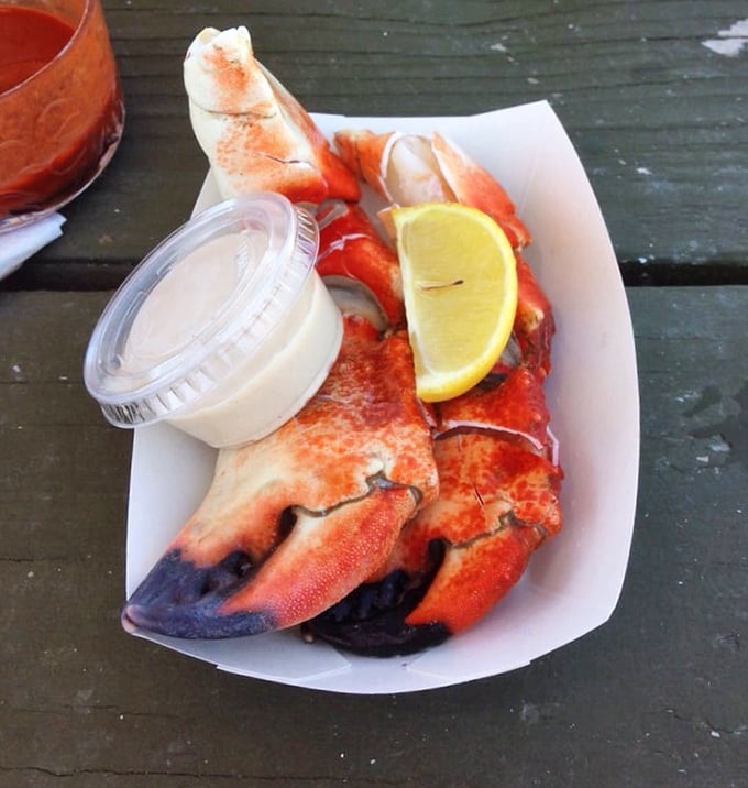 Nature's perfect finger food: sweet stone crab claws with a side of sunshine. The bright lemon wedge isn't just garnish—it's the perfect dance partner.