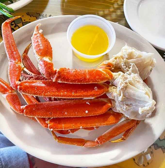 Snow crab legs arranged like nature's perfect puzzle – crack, dip, savor, repeat until your bib resembles a Jackson Pollock painting.