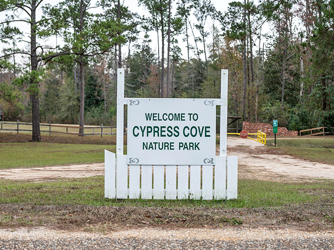 Nature beckons at Cypress Cove Park, where pine-scented trails and quiet reflection come without the admission prices of Florida's commercial attractions.