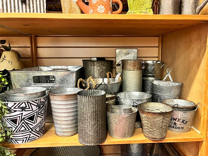 These aren't just decorative pots—they're vessels of possibility for your garden dreams and Pinterest aspirations.
