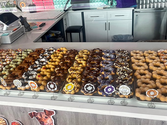 Donut heaven exists, and it's arranged in neat rows. Each flavor tells a different story, from matcha green to chocolate drizzle.