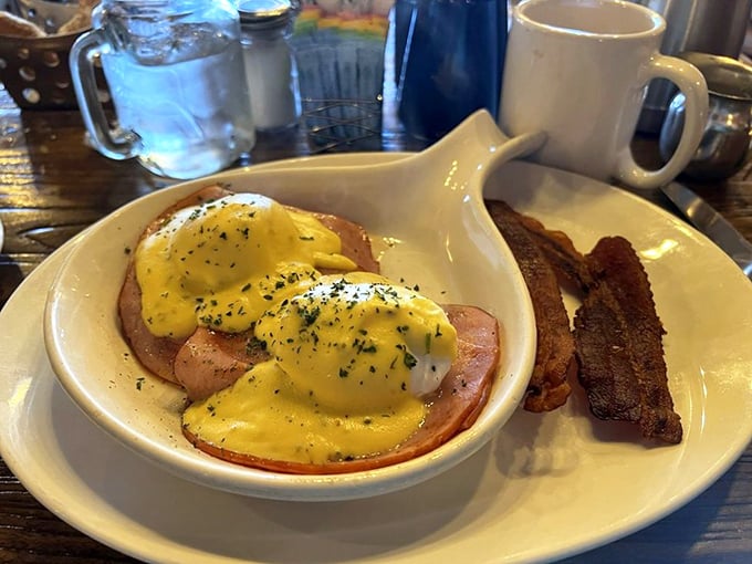 Behold, the Classic Benedict in its natural habitat—poached eggs wearing that hollandaise like a silk robe, perched atop Canadian bacon that knows its supporting role perfectly.
