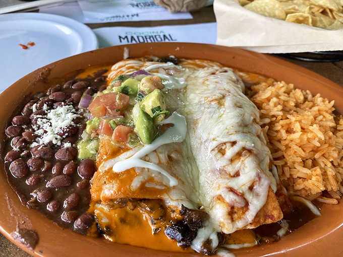 Enchiladas that make you question whether you've teleported to Mexico City. That perfect cheese pull is what food dreams are made of!