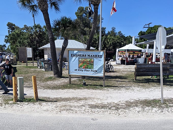The Farmers Market at City Pier Park – where "grocery shopping" transforms into a social event worthy of your vacation photo album.