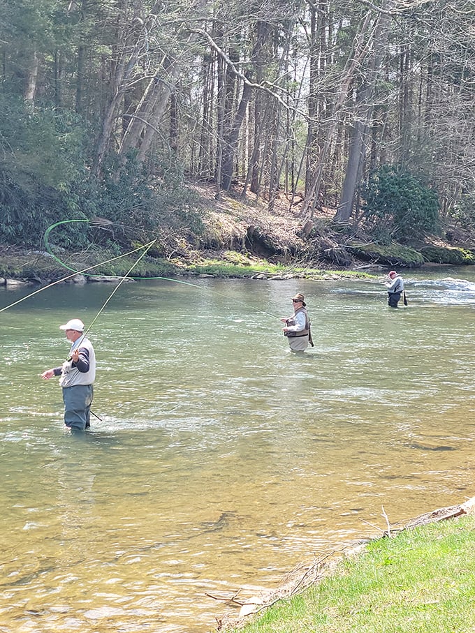 Fly fishing in Brookville's pristine waters isn't just a hobby – it's meditation with the occasional bonus of dinner.