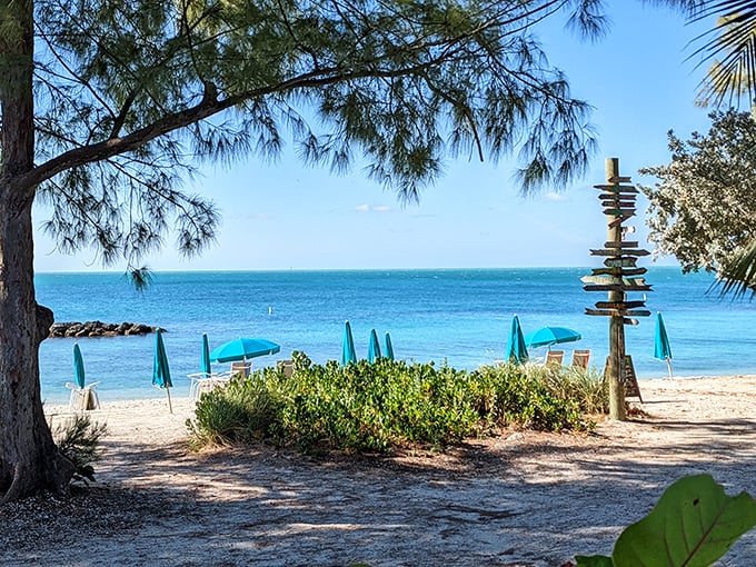 Beach day perfection: turquoise waters, teal umbrellas, and that wooden sign pointing to everywhere you're not rushing to get to.