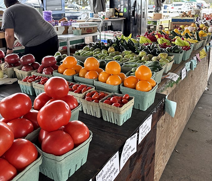 Nature's candy store! These tomatoes and oranges didn't travel from another hemisphere—they likely came from just down the road.