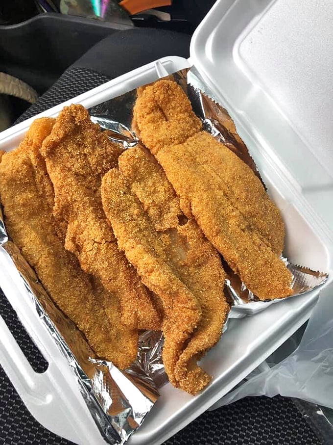Golden-fried perfection that would make any seafood lover weak at the knees. This isn't just fried fish—it's an edible art form.