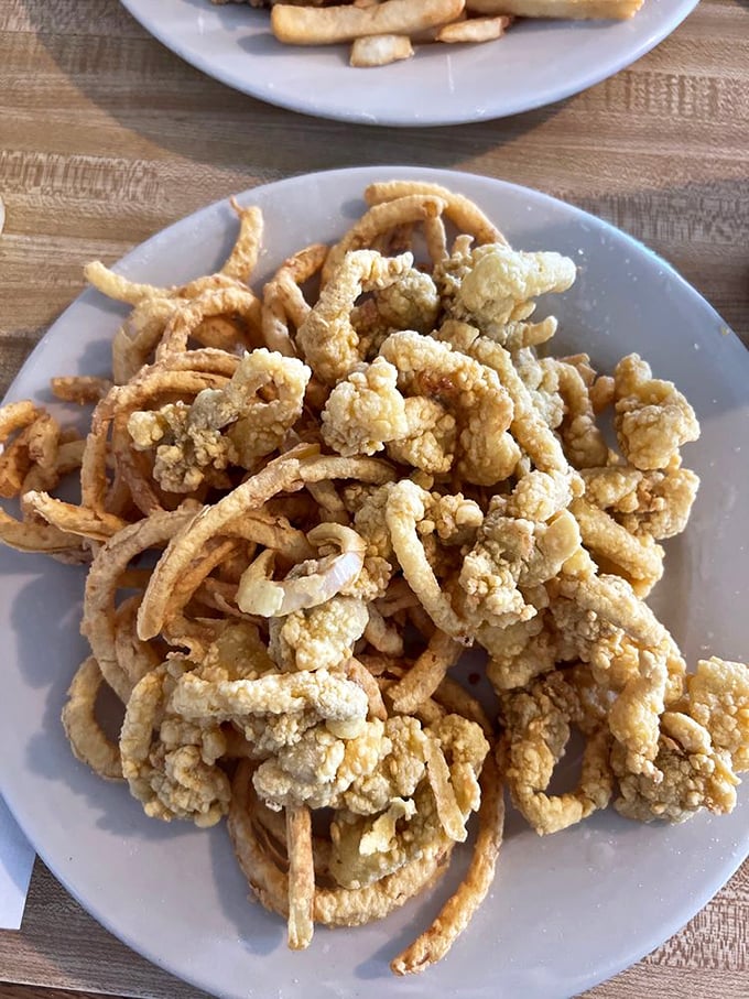 Golden treasures from the deep! These fried clams aren't just food—they're little crispy miracles that make you question why you'd eat anything else.