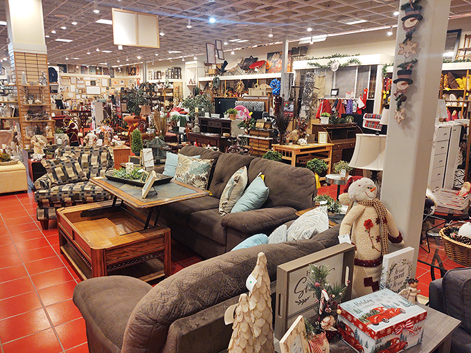 Cozy living room setups that make you wonder if you should redecorate your entire house. That owl statue is silently judging your restraint.