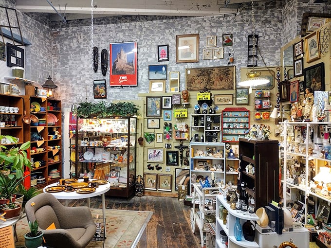 Exposed brick walls create the perfect gallery backdrop, where framed memories and curios transform ordinary spaces into personal museums of nostalgia.