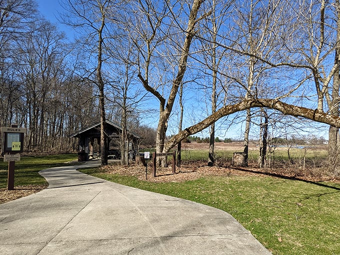 Nature trails that don't require oxygen tanks or expensive hiking gear—just comfortable shoes and an appreciation for peaceful moments.