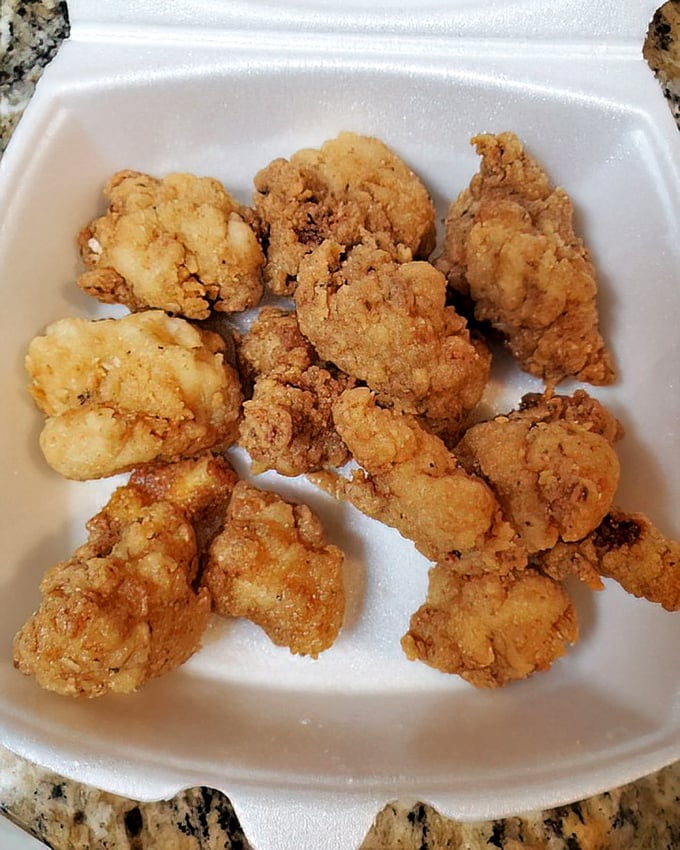 The legendary Gator Bites – golden-brown nuggets of Florida heritage that convert skeptics into evangelists with just one perfectly seasoned, tender bite.