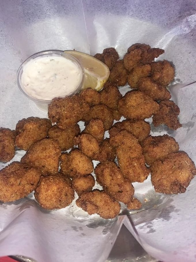 Fried gator bites – the reason Missourians willingly drive hours to St. Louis. Worth every mile and every calorie.