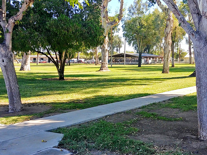 George E Olsen Memorial Park offers shaded pathways and green space—nature's air conditioning in a town where your utility bills won't cause heart palpitations.