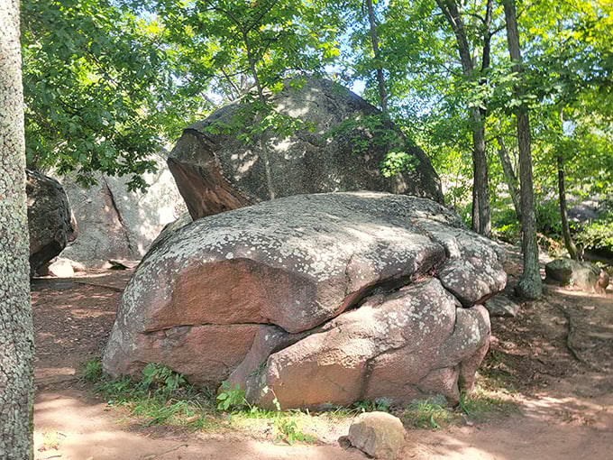 Gentle giants resting among the trees. These massive boulders invite climbers of all ages to channel their inner mountain goat.