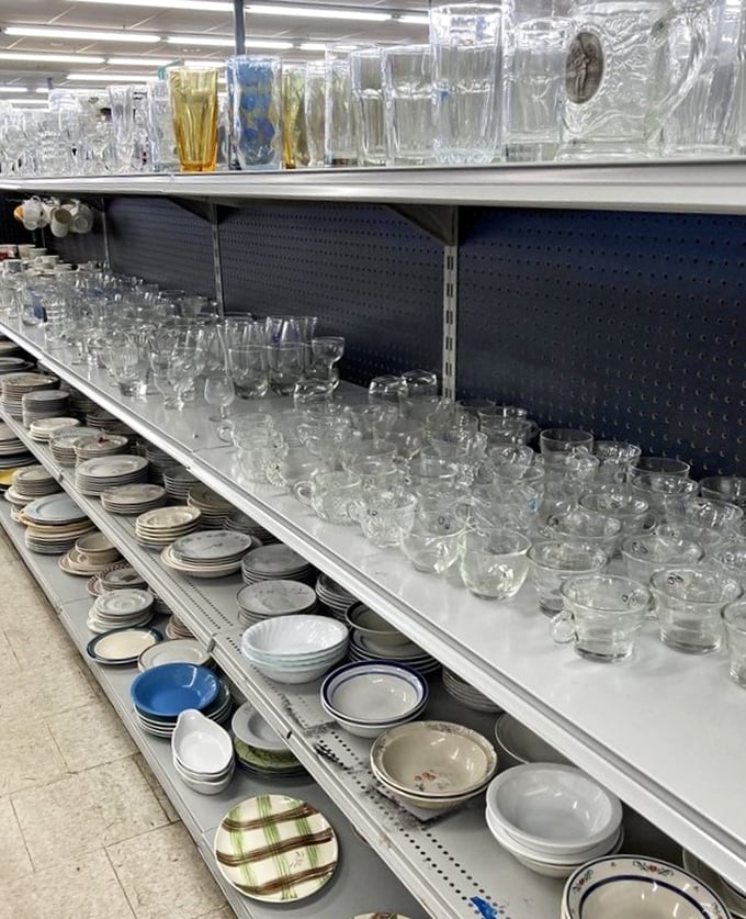 Glassware galore—because your cabinet deserves options beyond those promotional beer mugs from 1987.