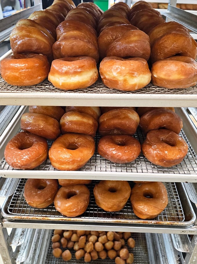 These glazed donuts aren't just breakfast – they're an argument for getting out of bed in the morning, lined up like golden soldiers of satisfaction.
