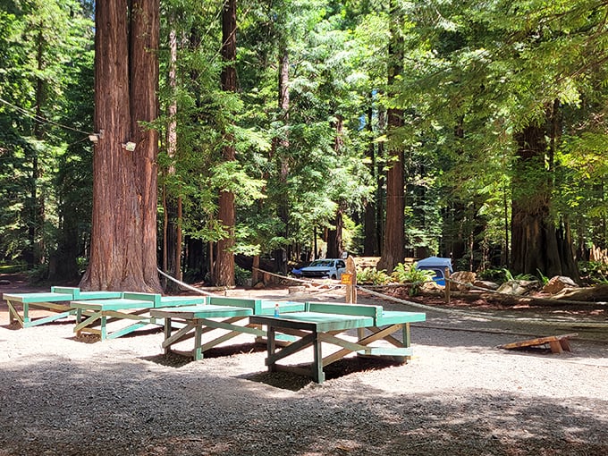 Picnic tables among the redwoods? This is Northern California's version of a five-star dining experience – just bring your own sandwich.