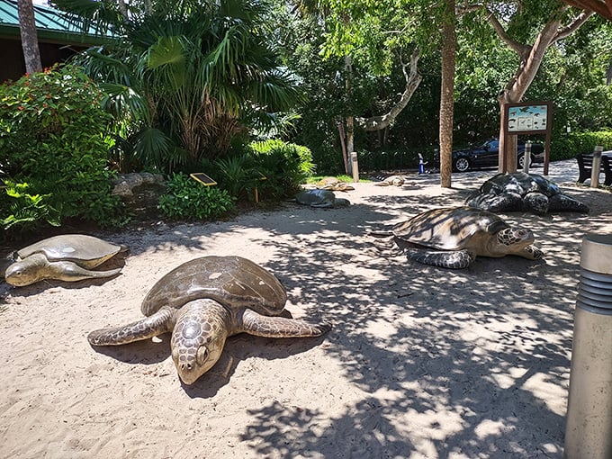 Sugar Sand Park's playground castle complex proves Florida knows how to do childhood right—shade included, no extra charge.