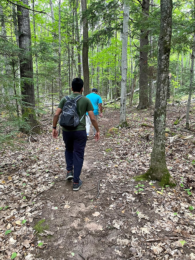Woodland trails around Bayfield invite hikers into the North Woods, where the rustling leaves provide nature's perfect soundtrack to adventure.