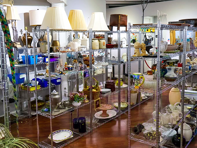 Lamp shades and home decor galore! One person's "I don't need this anymore" becomes another's "This is exactly what I was looking for!"