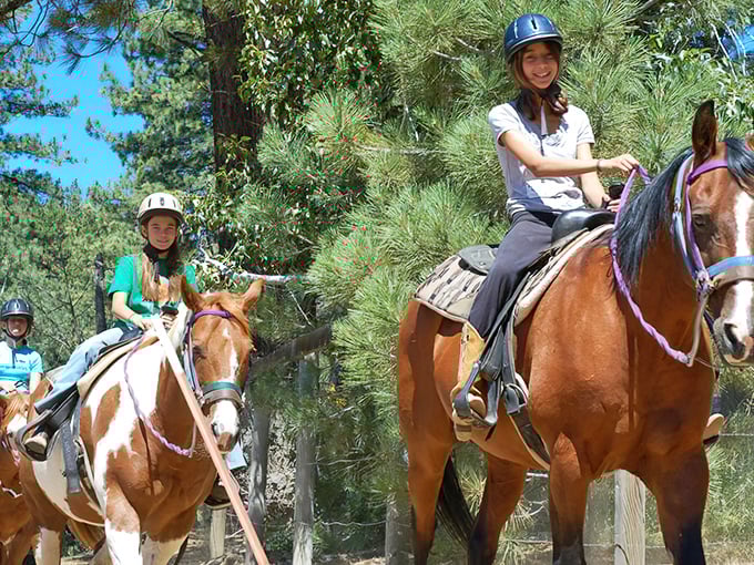 Saddle up for Sierra adventures! Horseback riding near Portola offers panoramic mountain views that no car window could ever frame.