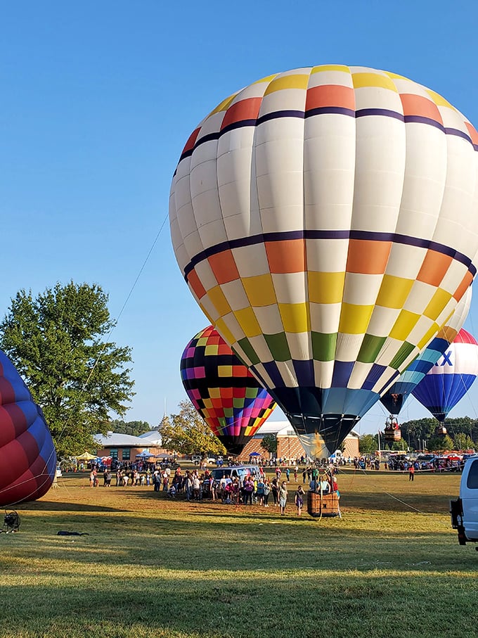 Hot air balloons dot Berea's sky during festivals, offering views that make smartphone panoramas seem tragically inadequate. Kentucky from above—no TSA pat-down required.