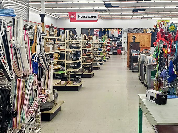 The housewares section: where kitchen gadgets enjoy their second act, like Broadway stars in a well-deserved revival tour.