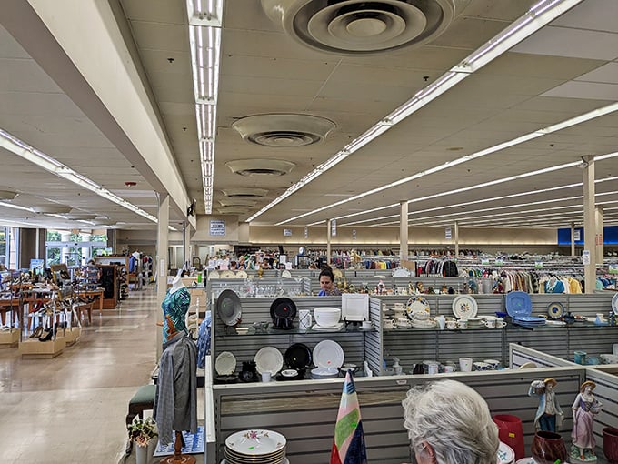 Stretching seemingly into infinity, these aisles contain more stories than a library—each plate and picture frame holds its own history. 