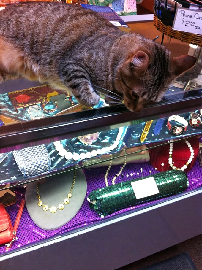 Not just jewelry, but stories waiting to be continued. That vintage necklace might have attended fabulous parties before finding its way to you.