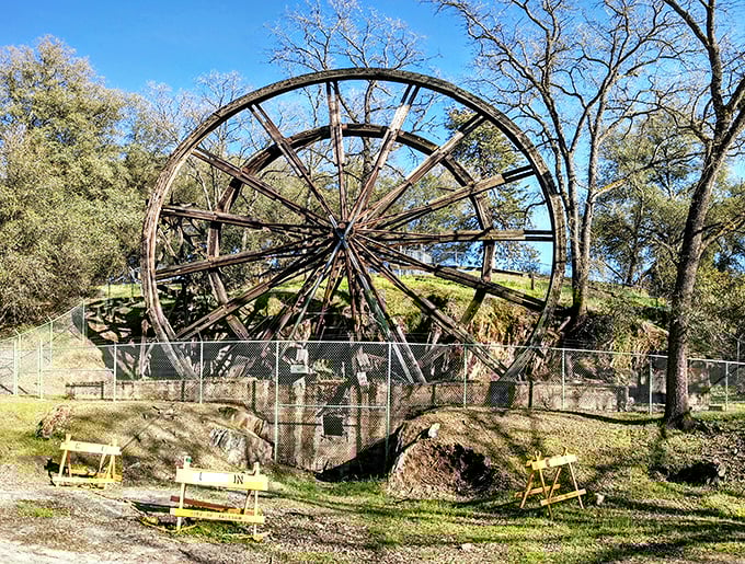 This massive water wheel isn't just Instagram-worthy—it's a monument to ingenuity from Jackson's gold mining heyday. Engineering marvels don't charge admission.