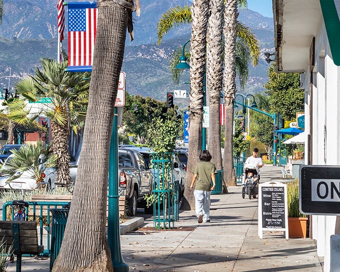 Palm-lined Linden Avenue, where the mountains provide dramatic backdrop to everyday errands. Even grocery shopping feels like a vacation when this is your main street.