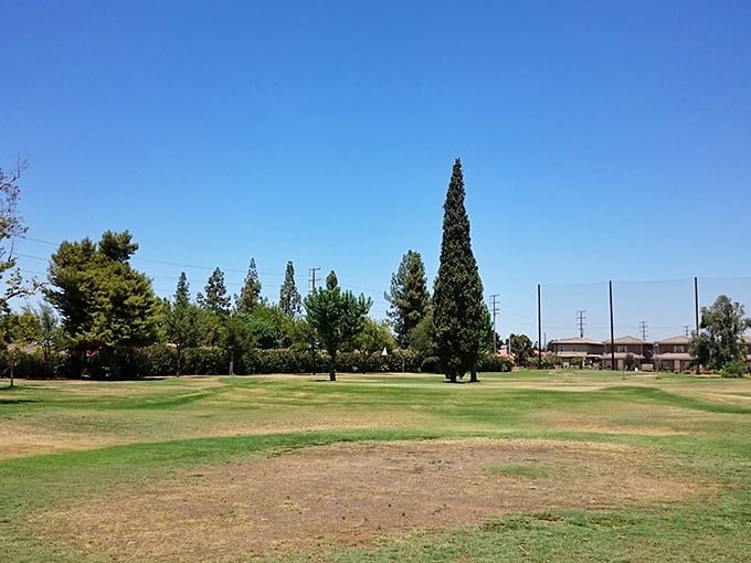 Wide open spaces and clear blue skies come standard in Lindsay, where this public green space offers room to breathe without the coastal premium.