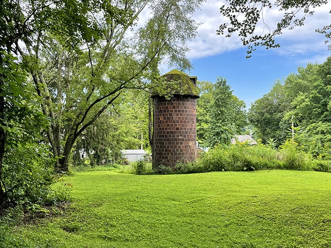 This brick silo stands like a stubborn reminder of simpler times. If only these walls could talk—they'd probably tell you to slow down and enjoy the view.