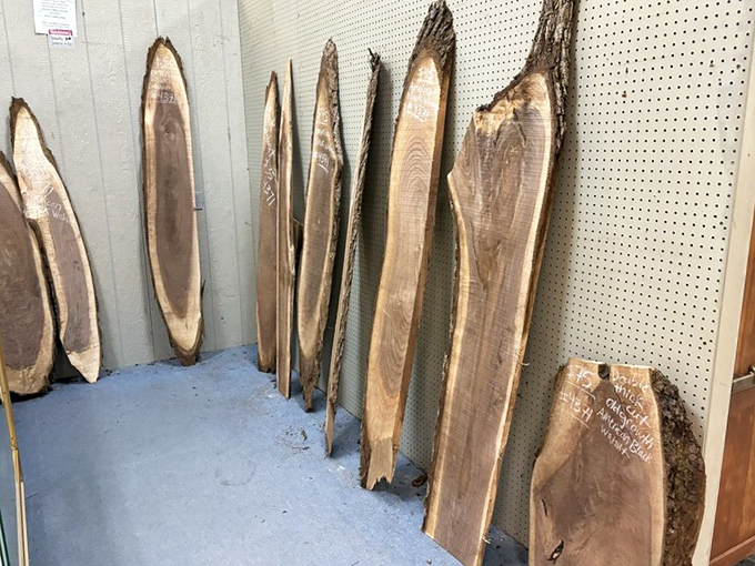 Nature's artwork waiting for its second act – these live edge wood slabs hold more stories than a library and more potential than a lottery ticket.