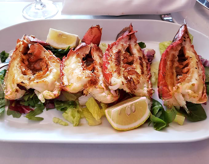 Split lobster tails that look like they're auditioning for a seafood calendar. The kind of dish that makes you temporarily forget your table manners.