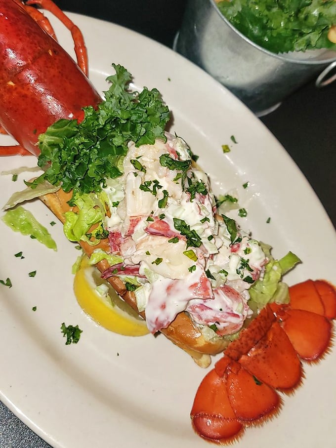 The lobster roll arrives like edible artwork—chunks of sweet meat nestled in buttery bread with just enough mayo to make you contemplate moving to Crystal River permanently.
