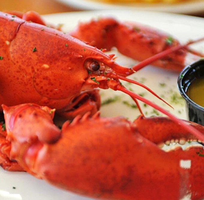 Behold the star attraction – a perfectly cooked lobster, resplendent in its crimson glory, waiting to prove that Pennsylvania can indeed do Maine proud.