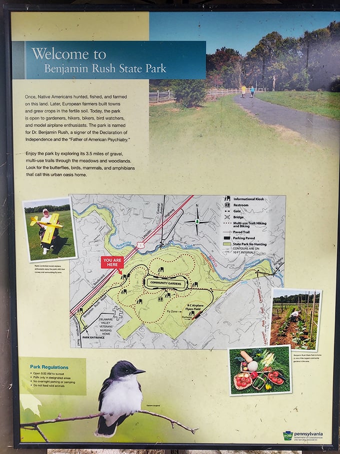 The park's informational map reveals 3.5 miles of trails – like a treasure map for nature enthusiasts minus the pirates.